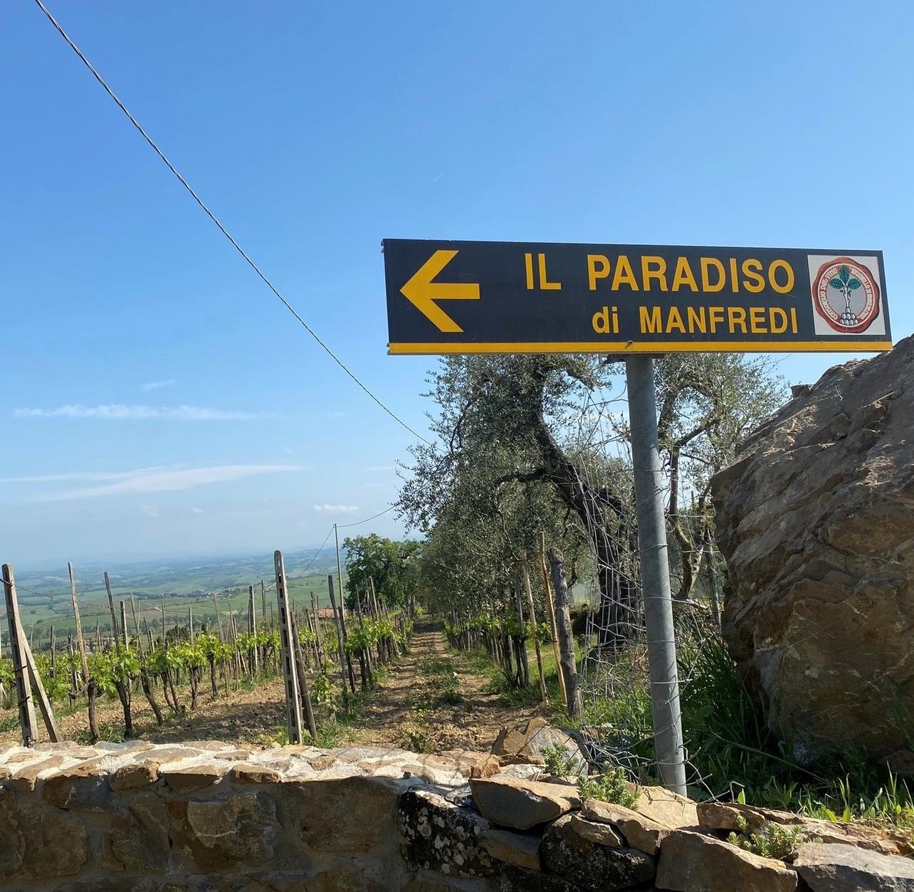 Il Paradiso di Manfredi 【イル・パラディソ・ディ・マンフレディ】 – 株式会社 武蔵屋